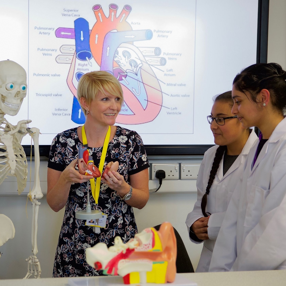 Nishkam High School - A level Results 2018